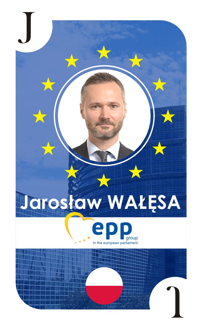 MEPs’ deck of cards: who are the most influential ones?VoteWatch ...